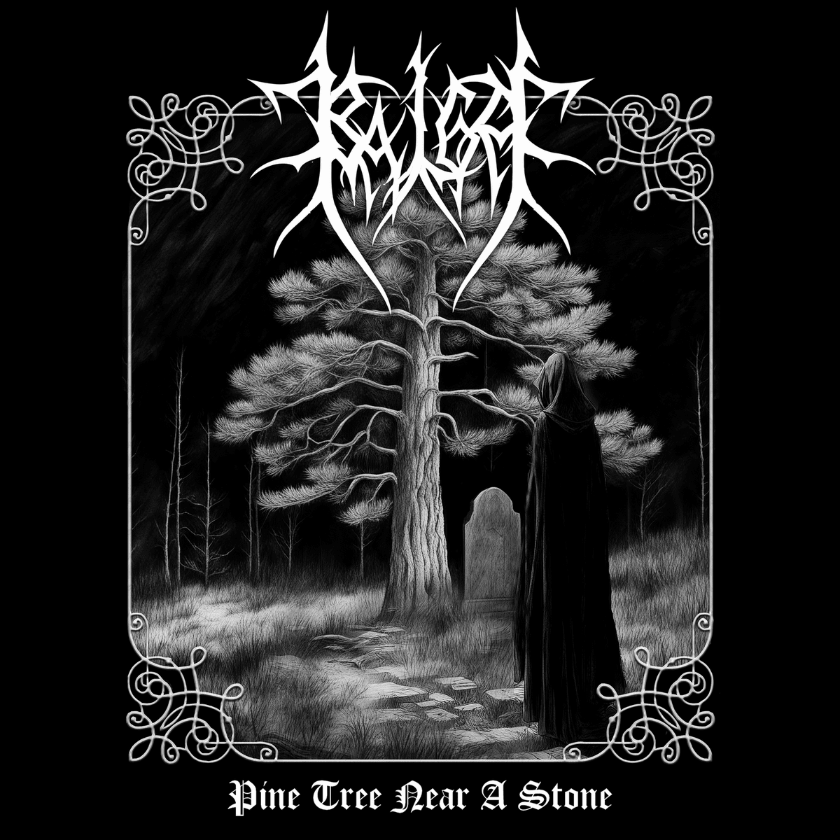 Pine Tree Near a Stone by Balga (Single): Reviews, Ratings, Credits ...