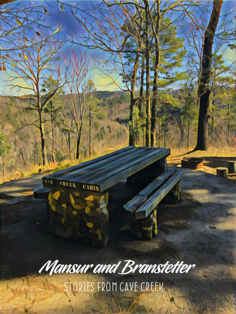 Stories from Cave Creek by Mansur and Branstetter (Album): Reviews, Ratings, Credits, Song list ...