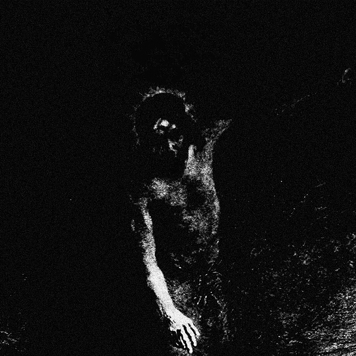 Further Down the Nest I by Praznina (Single; n/a; n/a): Reviews ...