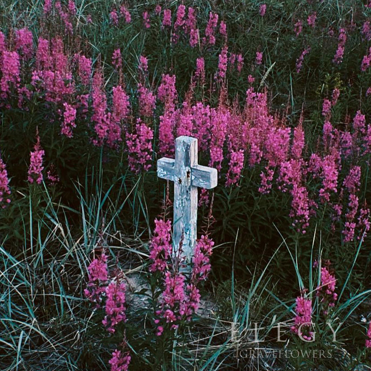 Elegý Albums: songs, discography, biography, and listening guide - Rate ...