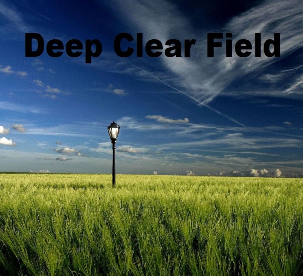 Deep Clear Field by Deep Clear Field (Album): Reviews, Ratings, Credits ...