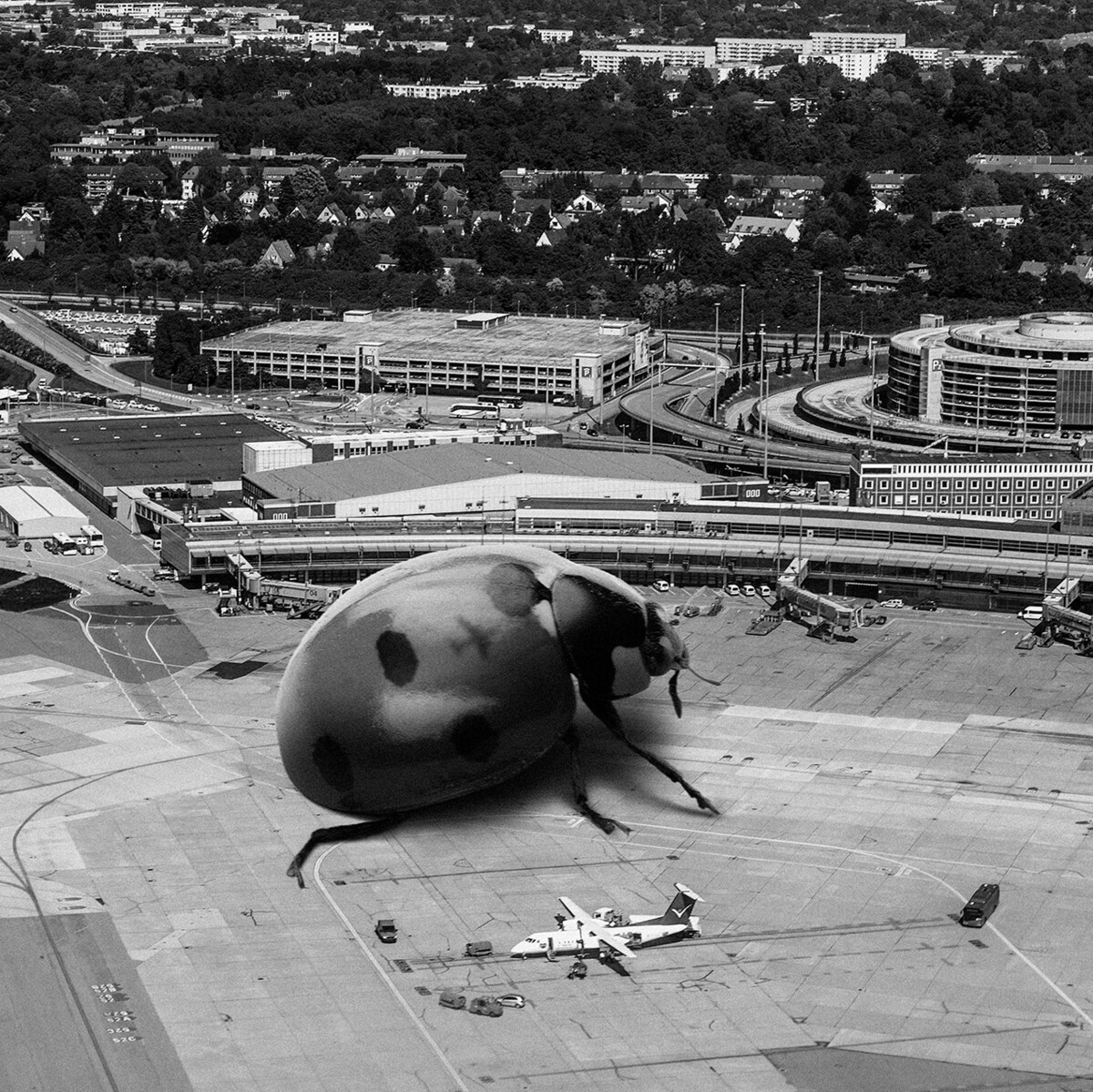 Scab (Mixtape) by Moll+ (DJ Mix): Reviews, Ratings, Credits, Song list ...