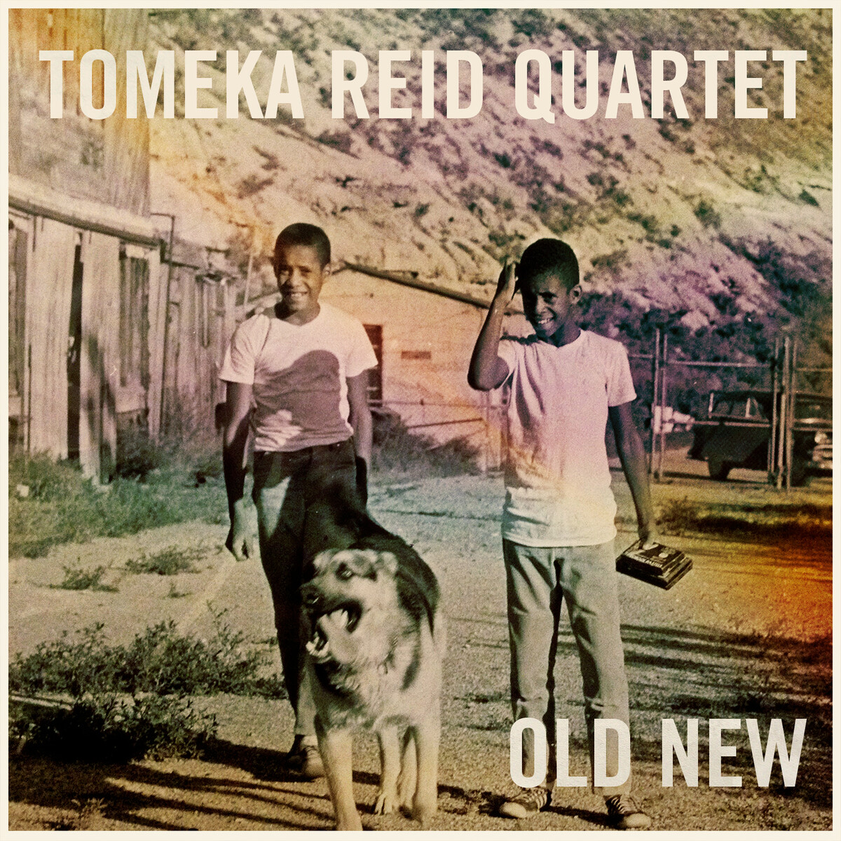Tomeka Reid Albums: songs, discography, biography, and listening guide ...