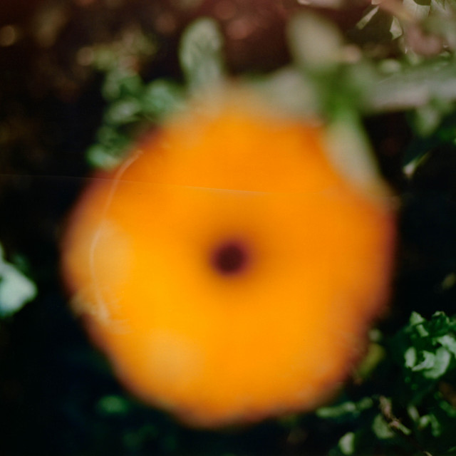 Beginners Mind by Frederik Valentin & Loke Rahbek (Single, Chillwave ...