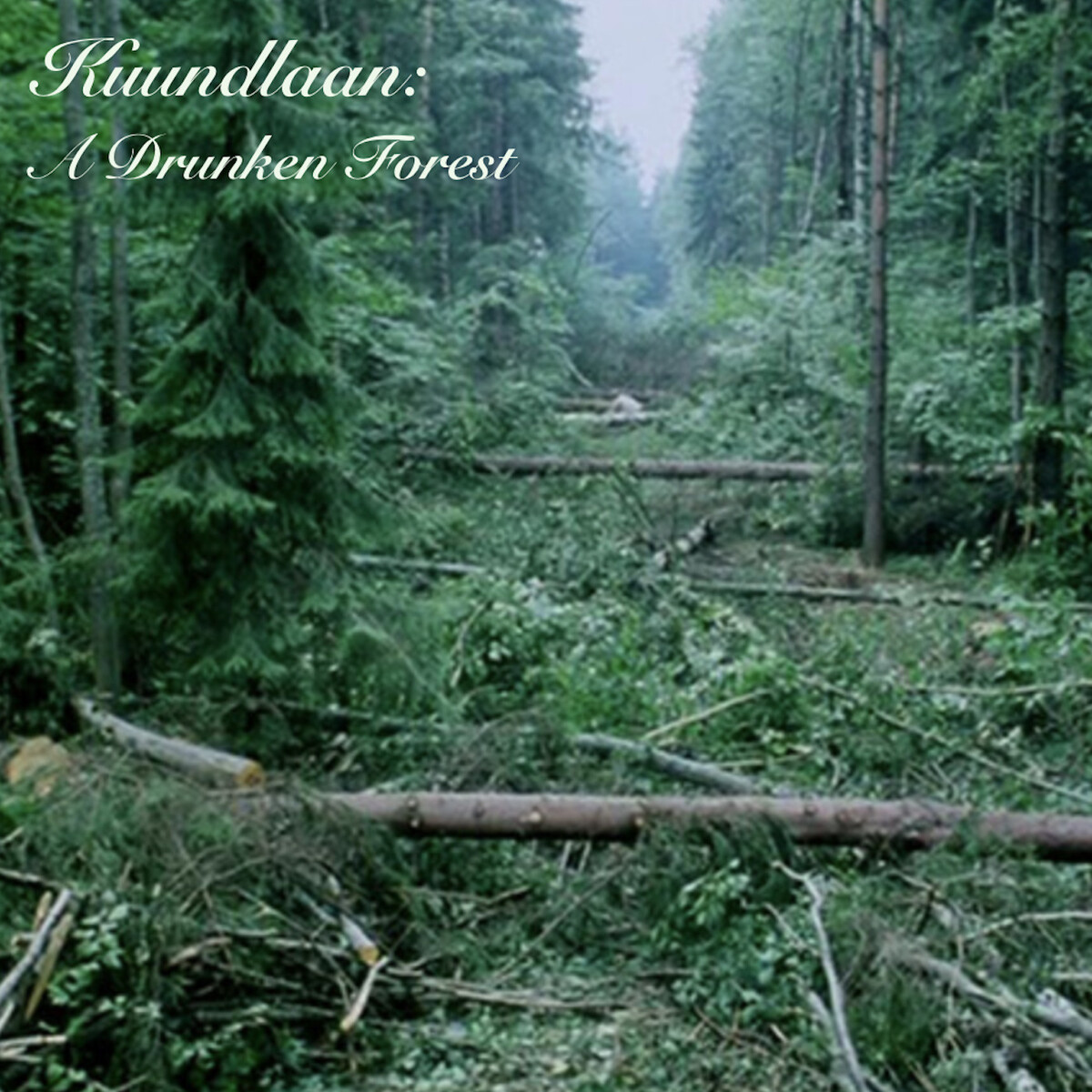 A Drunken Forest by Kuundlaan (Album): Reviews, Ratings, Credits, Song ...