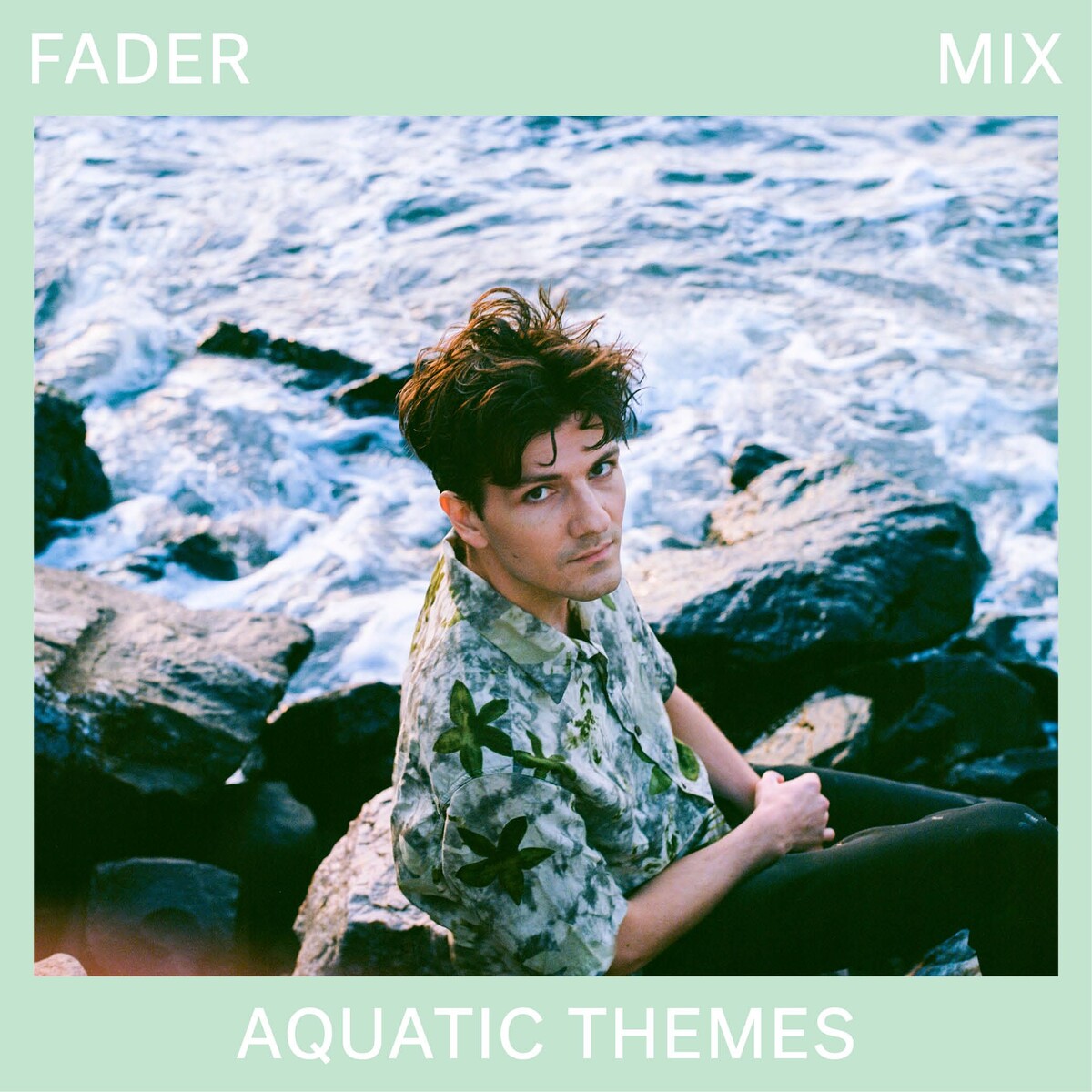 Aquatic Themes Albums: songs, discography, biography, and listening ...