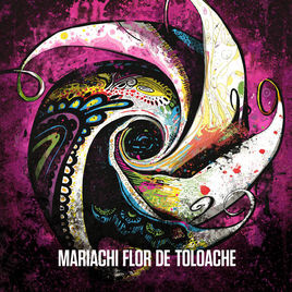 Flor de Toloache Albums: songs, discography, biography, and listening ...