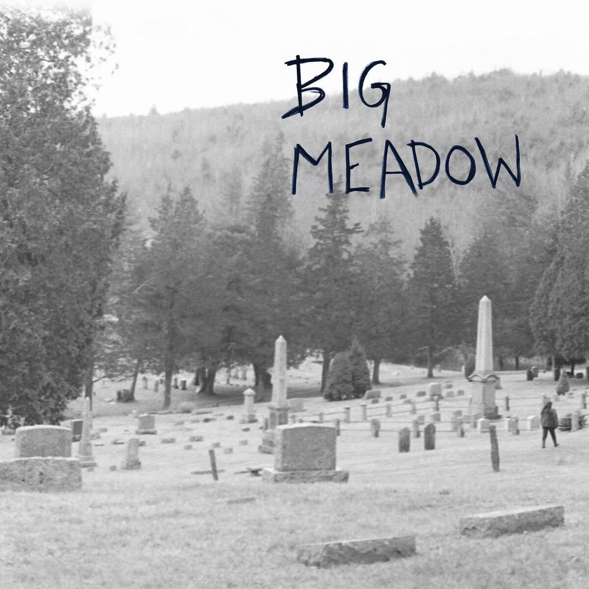 Big Meadow by Ava McCoy (Single): Reviews, Ratings, Credits, Song list ...