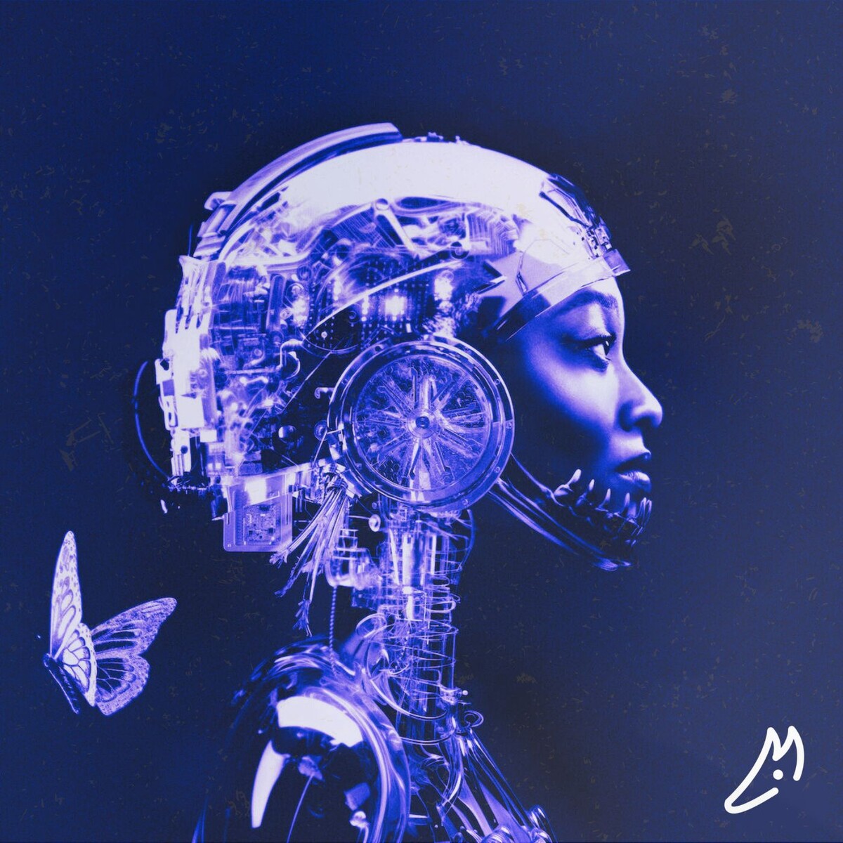 Torch (Zach Fox Flip) by Zach Fox (Single; n/a; n/a): Reviews, Ratings ...