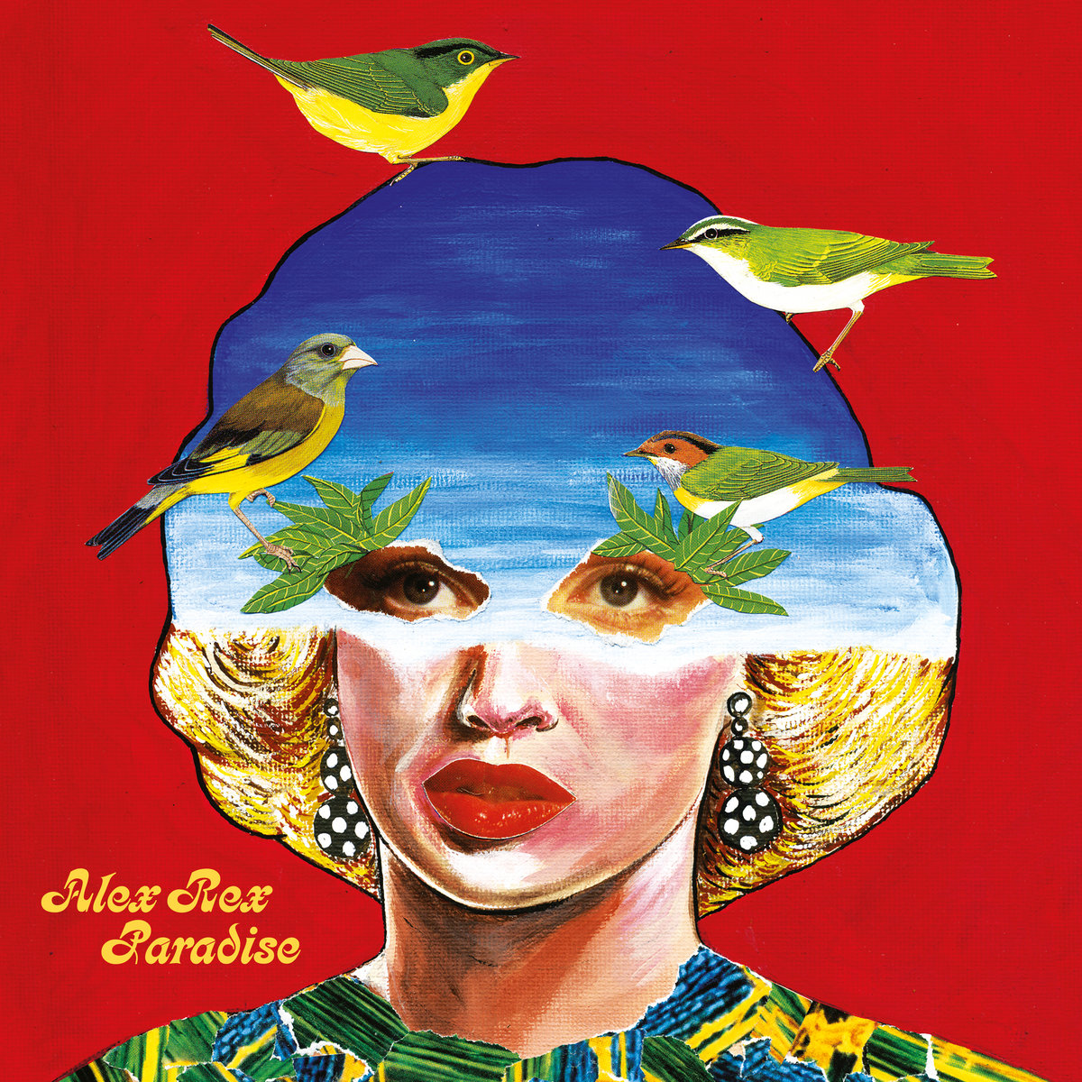 Paradise by Alex Rex (Album, Psychedelic Folk): Reviews, Ratings ...