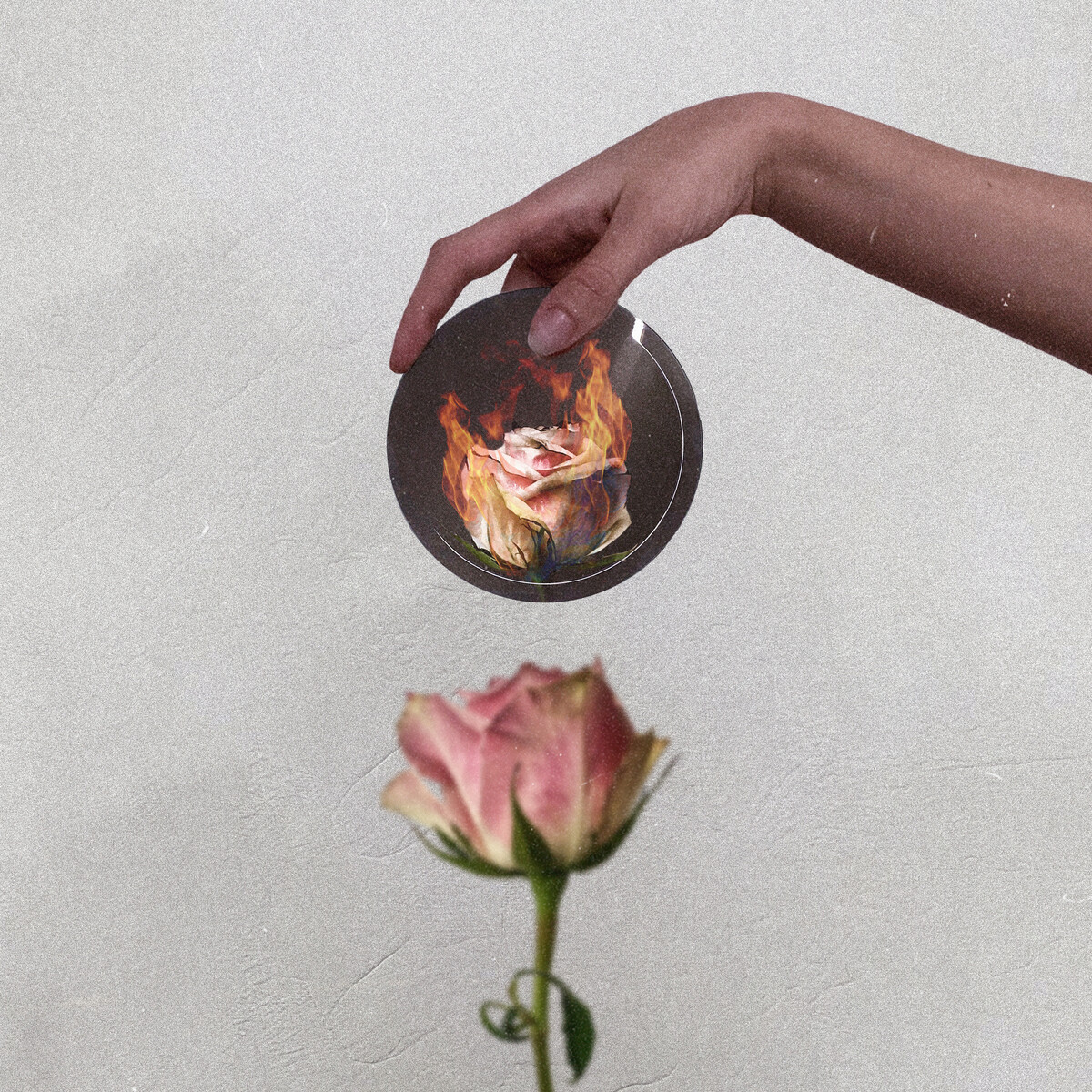 Stain the Canvas Albums: songs, discography, biography, and listening ...