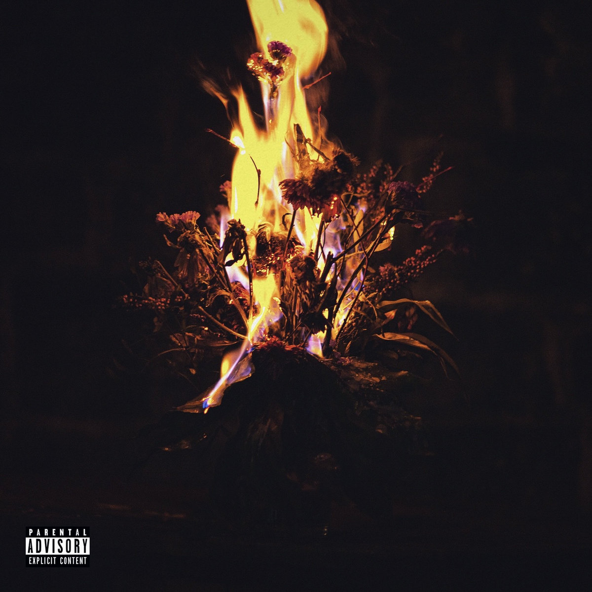 EPITOME by Hazey Haze (Album, Neo-Soul): Reviews, Ratings, Credits ...