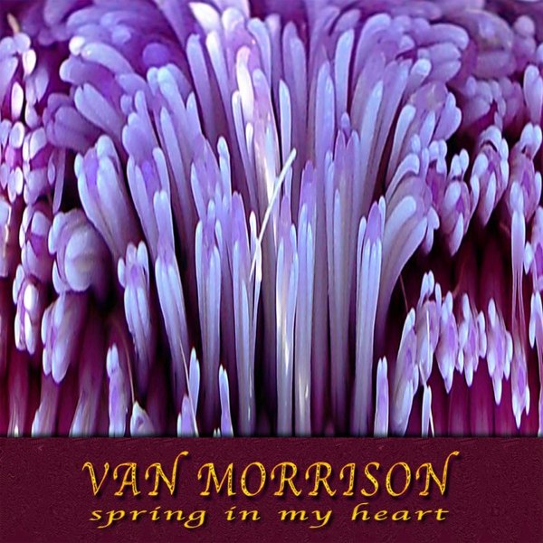 Spring in My Heart (Montreux 19 July 1997) by Van Morrison (Bootleg ...
