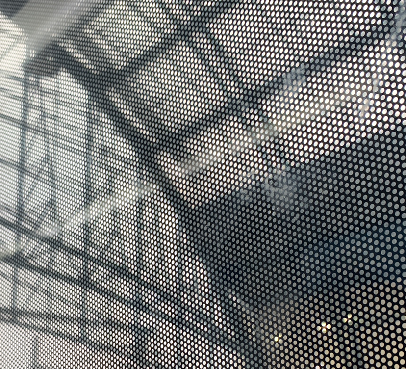 Empty Promise_Demo by lau⁺ (Single; n/a; n/a): Reviews, Ratings ...