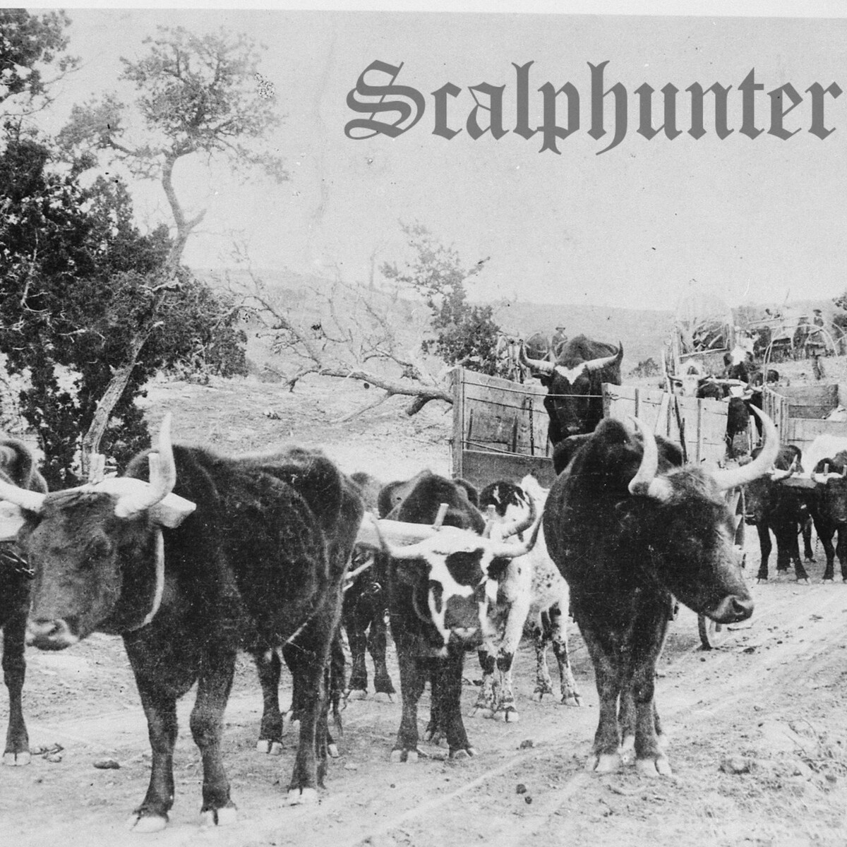 Scalphunter Albums: songs, discography, biography, and listening guide ...