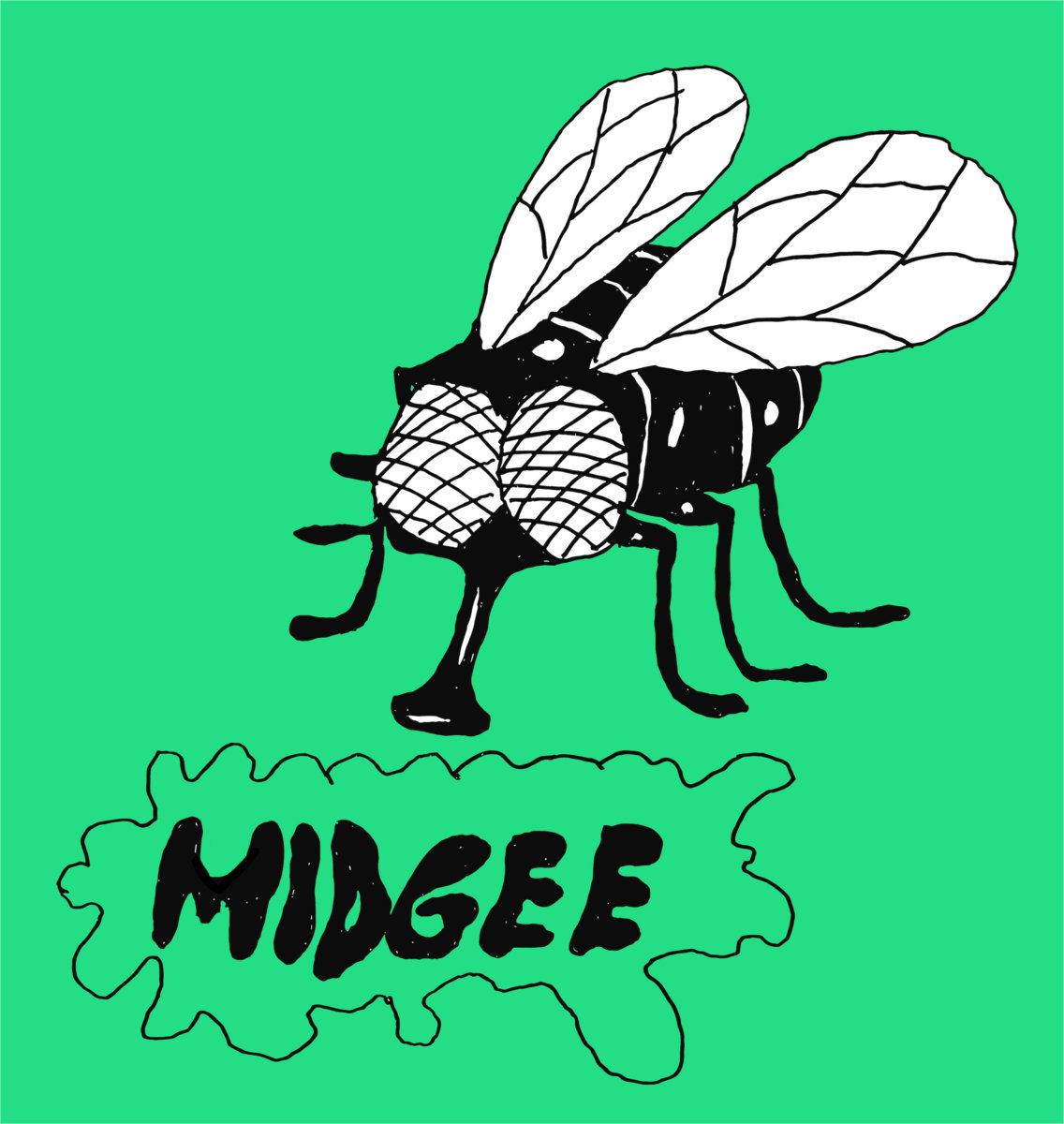 Jumpin' Jack Flash by Midgee (Single): Reviews, Ratings, Credits, Song ...