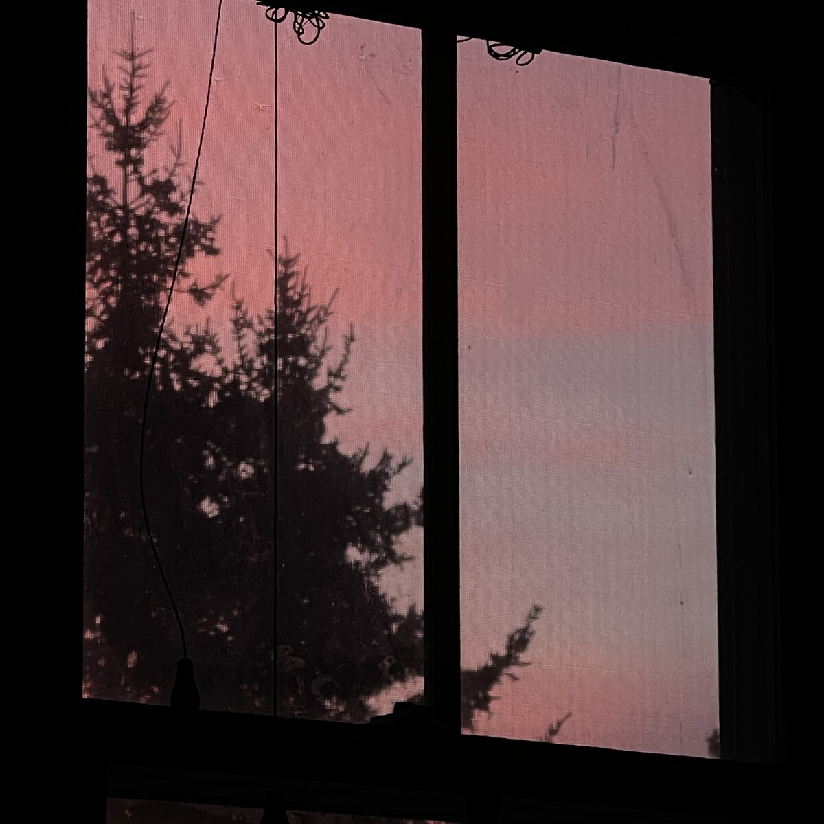 Home by Foxtails (EP; n/a; n/a): Reviews, Ratings, Credits, Song list ...