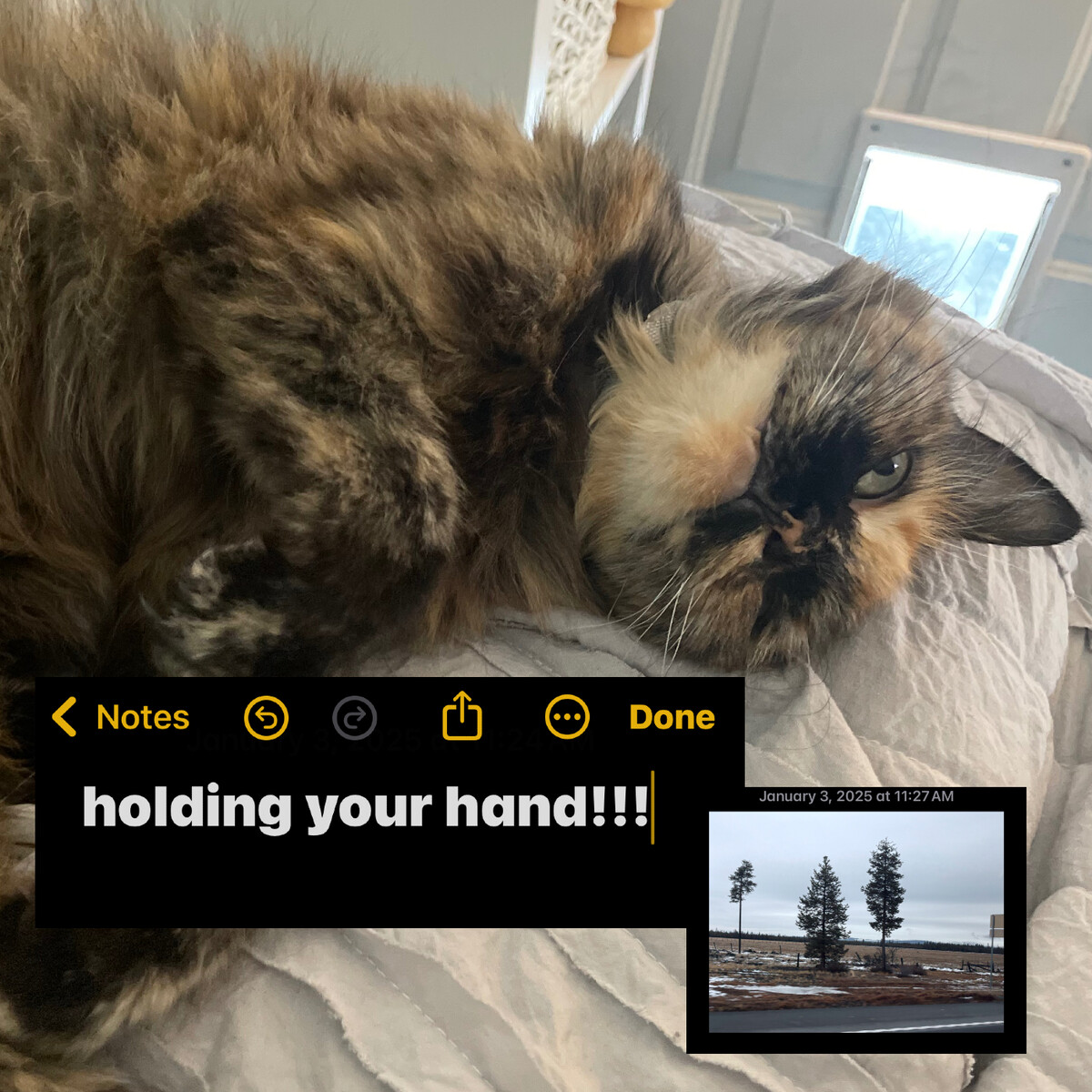 Holding Your Hand E.P. by DJ Munga (EP): Reviews, Ratings, Credits ...