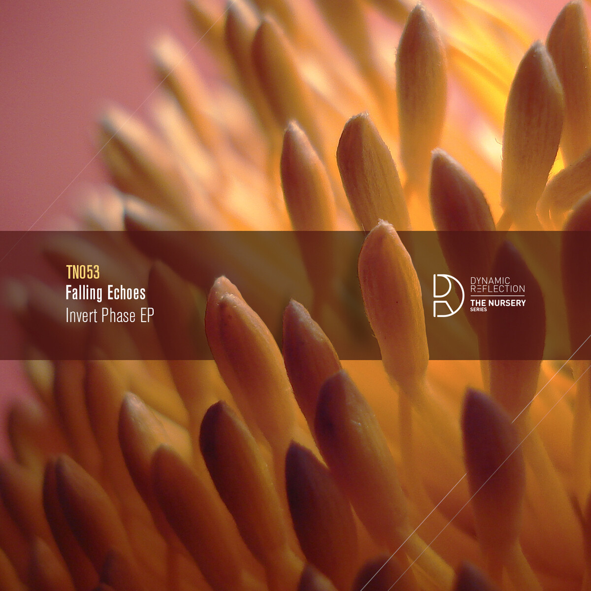 Invert Phase EP by Falling Echoes (EP, Techno): Reviews, Ratings ...