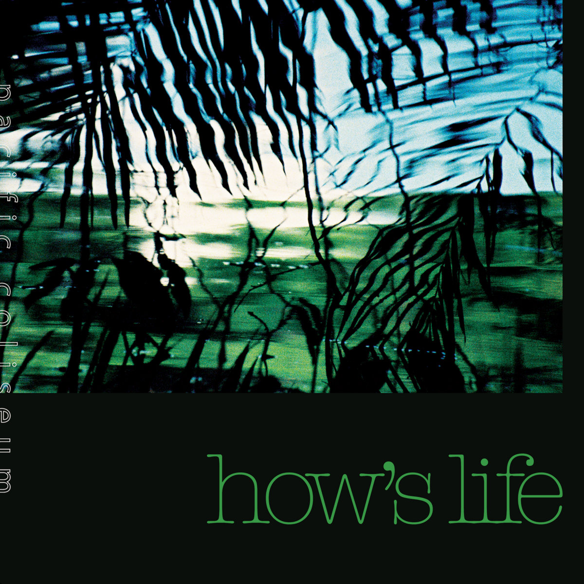 How's Life by Pacific Coliseum (Album, Balearic Beat): Reviews, Ratings ...