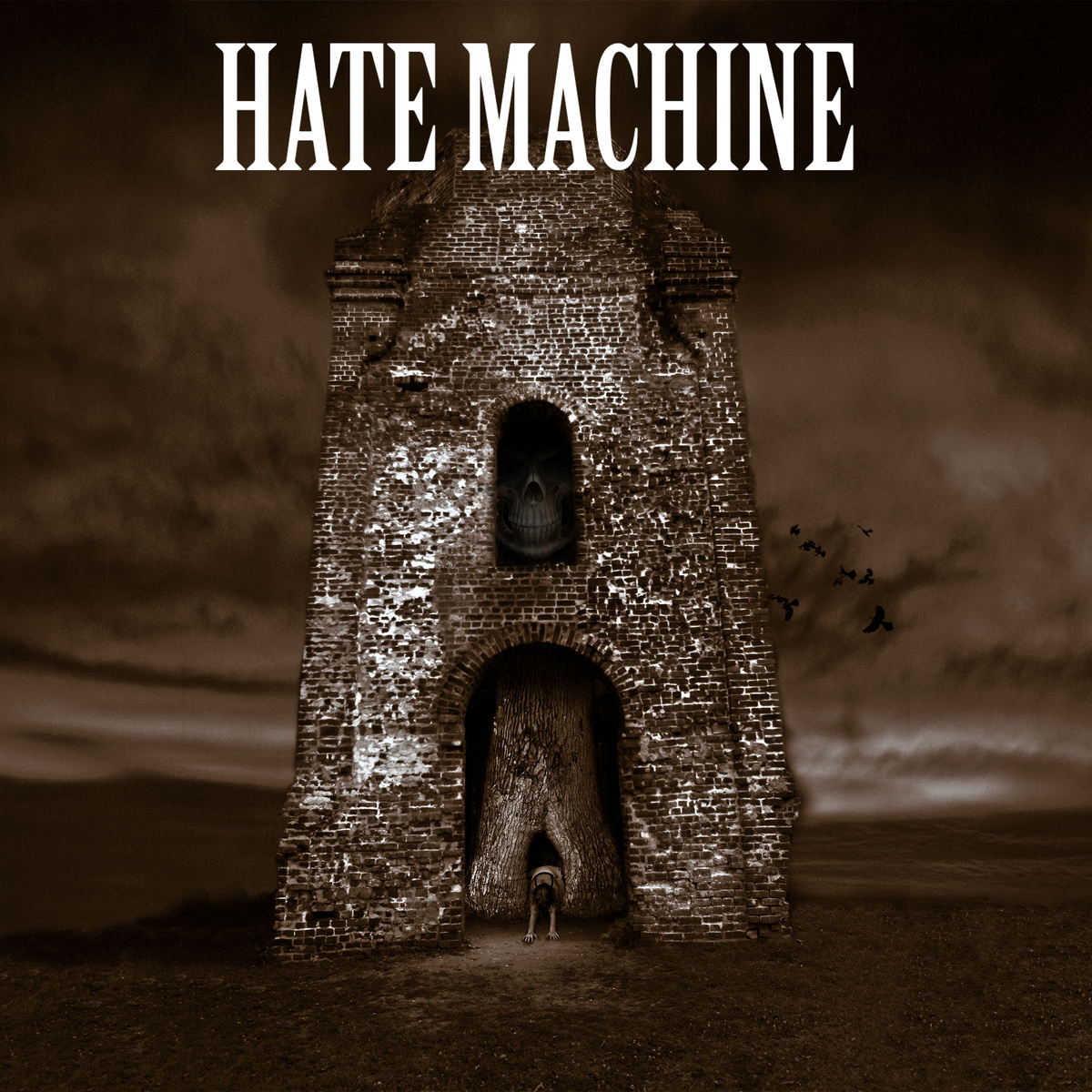 Hate Machine Albums: songs, discography, biography, and listening guide ...