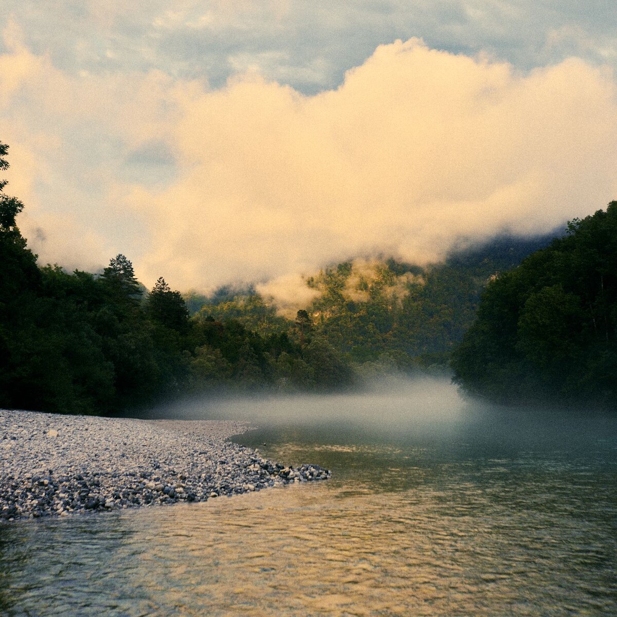 Butik Festival 2025 by Jane Fitz & Paquita Gordon (DJ Mix; n/a; n/a): Reviews, Ratings, Credits ...