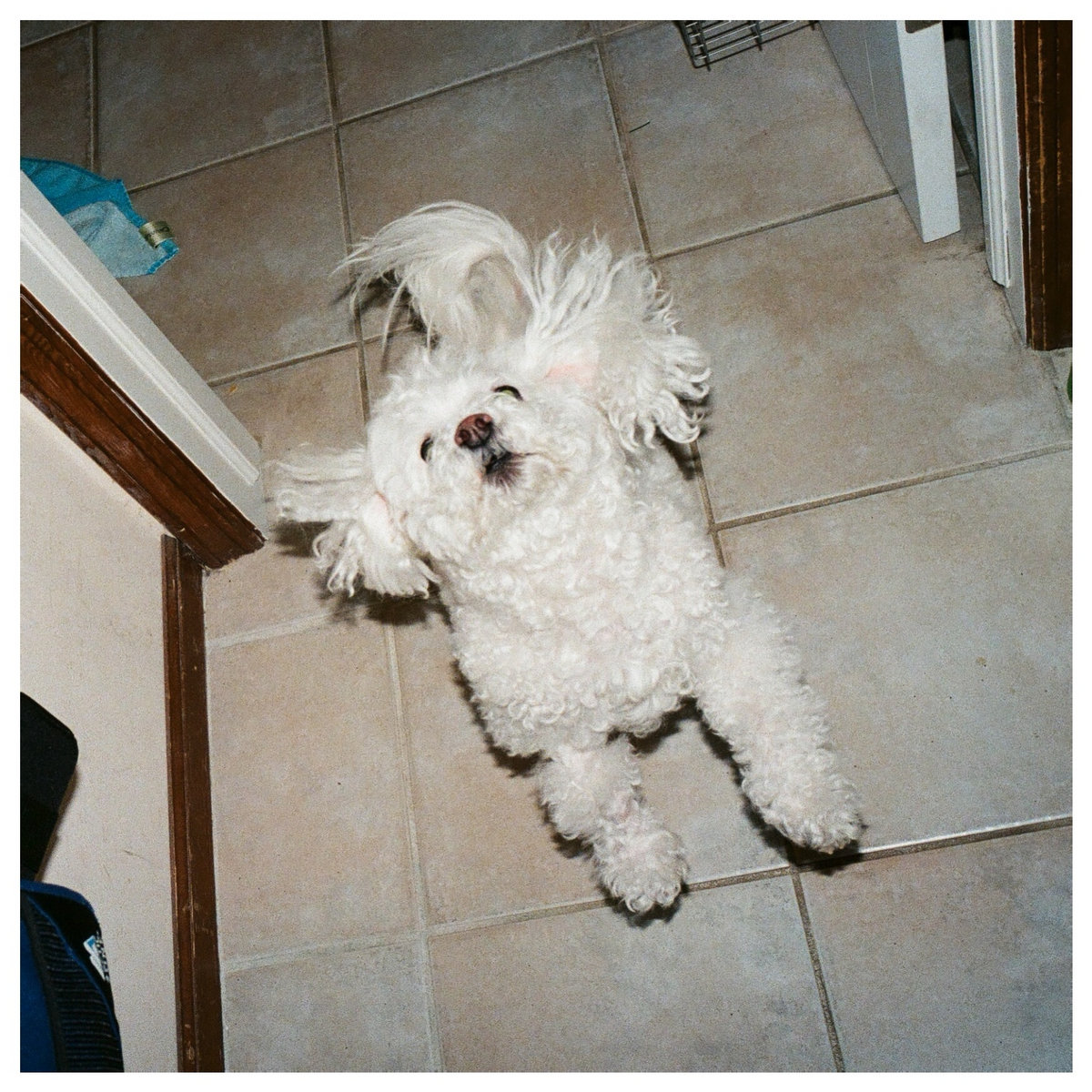 Security Cameras by Buena Cara (Single, Midwest Emo): Reviews, Ratings ...