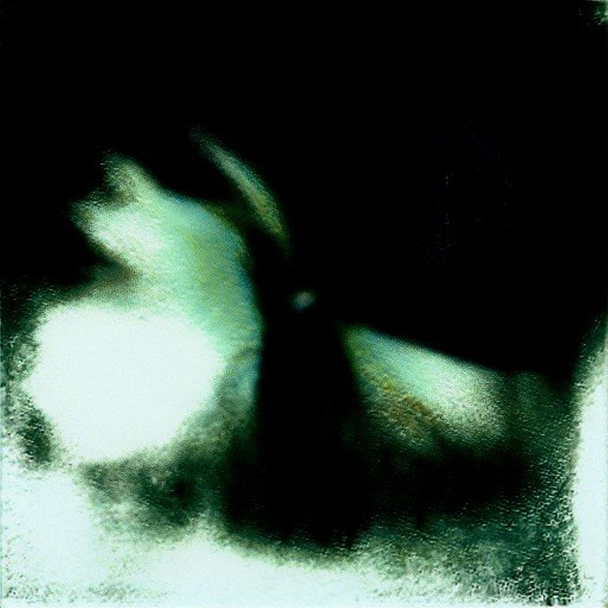 Heatwave! by Felix Mackenzie (Single): Reviews, Ratings, Credits, Song ...