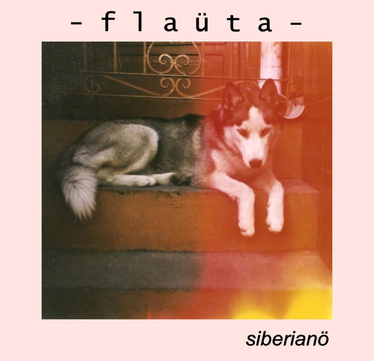 Flaüta Albums: songs, discography, biography, and listening guide ...