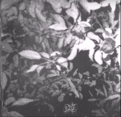 Gale Albums: songs, discography, biography, and listening guide - Rate ...