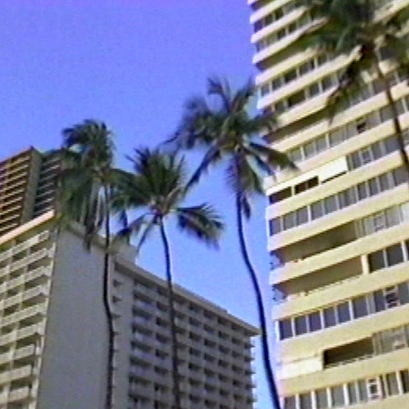 Jungle by .CASTING (Album, Vaporwave): Reviews, Ratings, Credits, Song ...