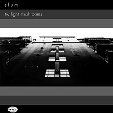 Slum Albums: songs, discography, biography, and listening guide - Rate ...