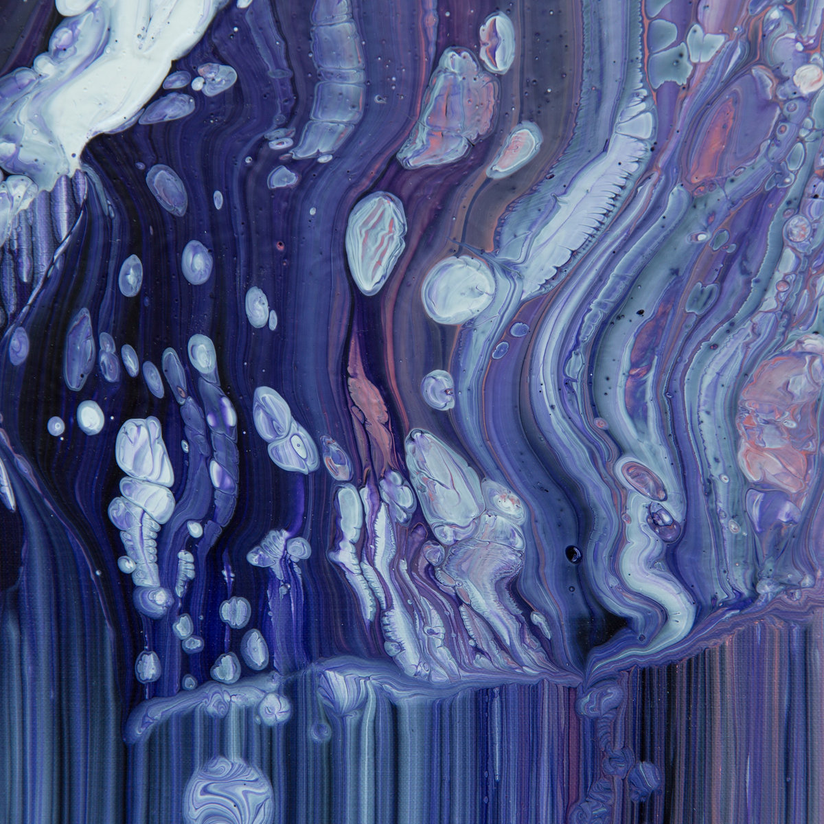 Dripfield by Goose (Single, Jam Band): Reviews, Ratings, Credits, Song ...