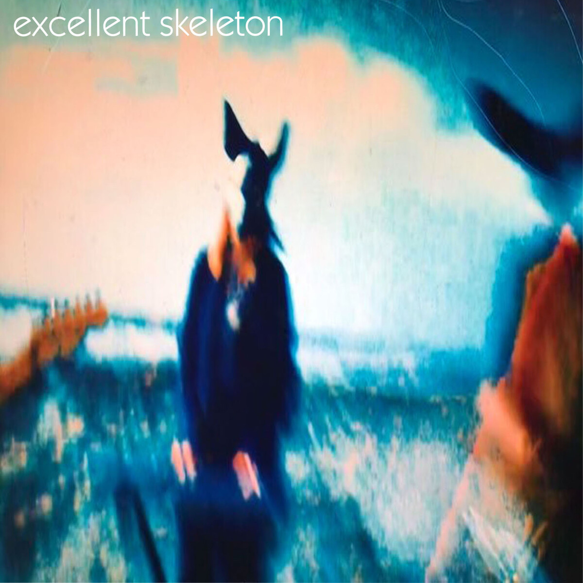 Excellent Skeleton Albums: songs, discography, biography, and listening ...