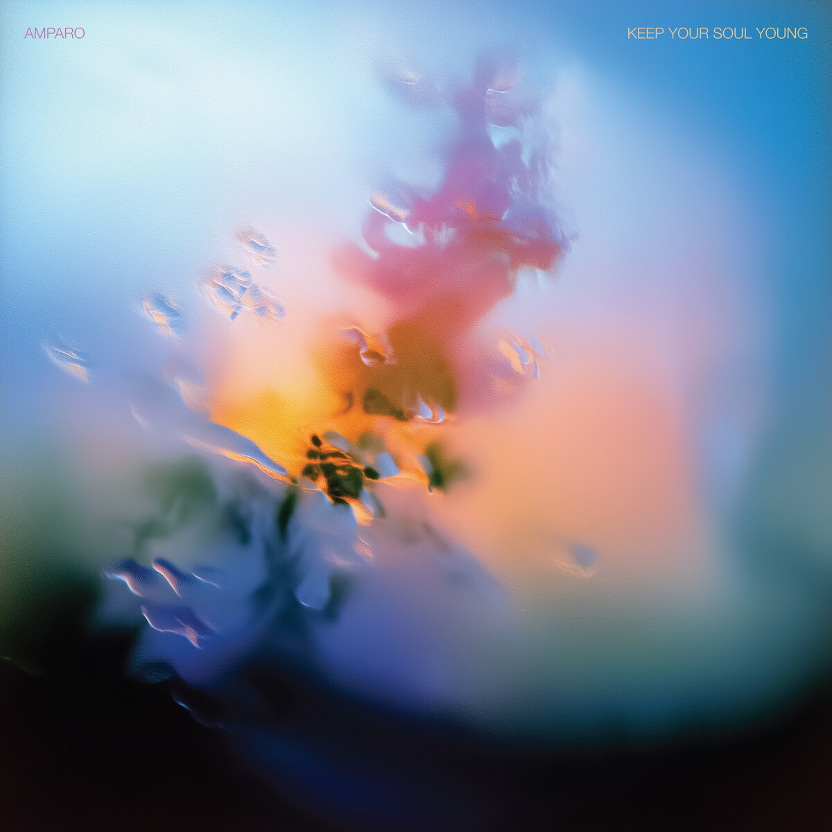 Keep Your Soul Young by Amparo (Album): Reviews, Ratings, Credits, Song ...