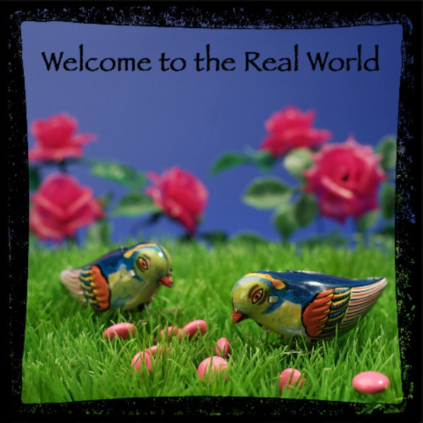 Welcome to the Real World by The Covenant (Album; CDNR08006): Reviews ...