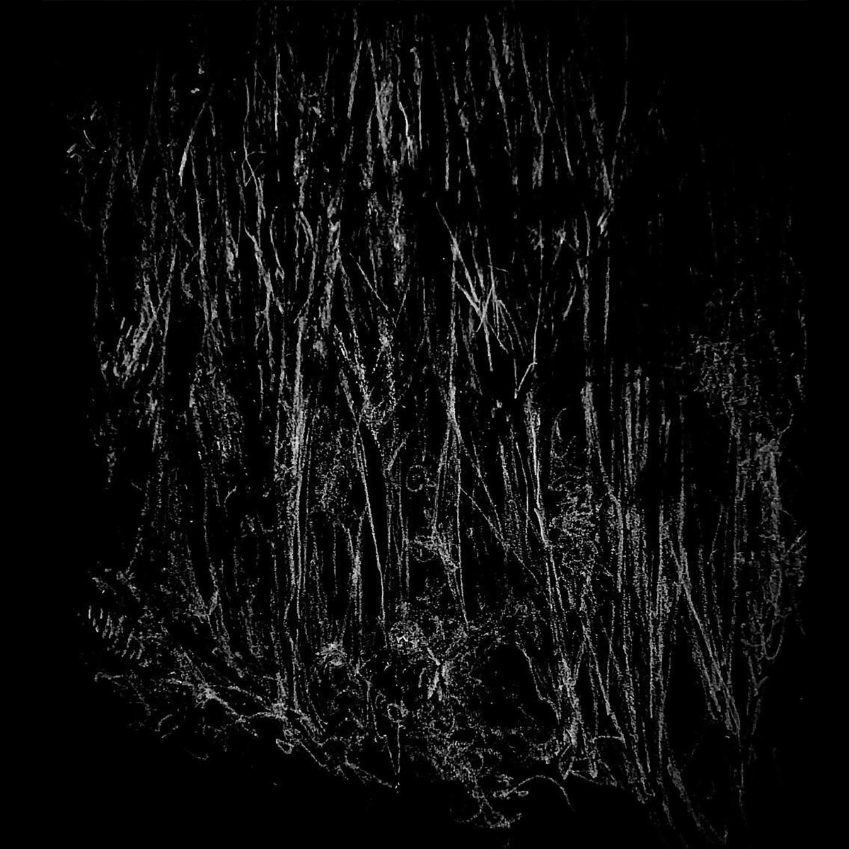 Versos by Andre Sanabria (Album): Reviews, Ratings, Credits, Song list ...