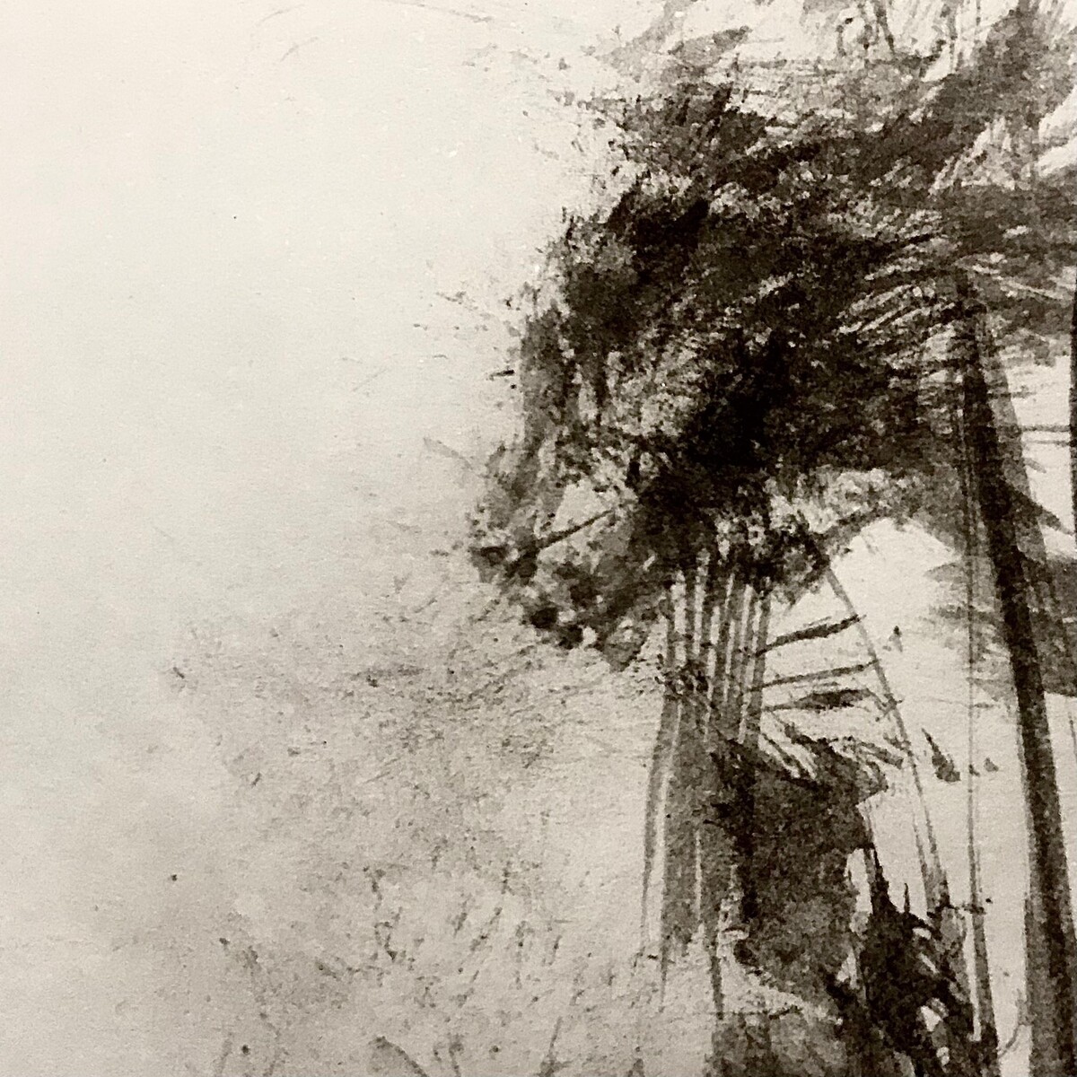 Not So Evil Albums: songs, discography, biography, and listening guide ...