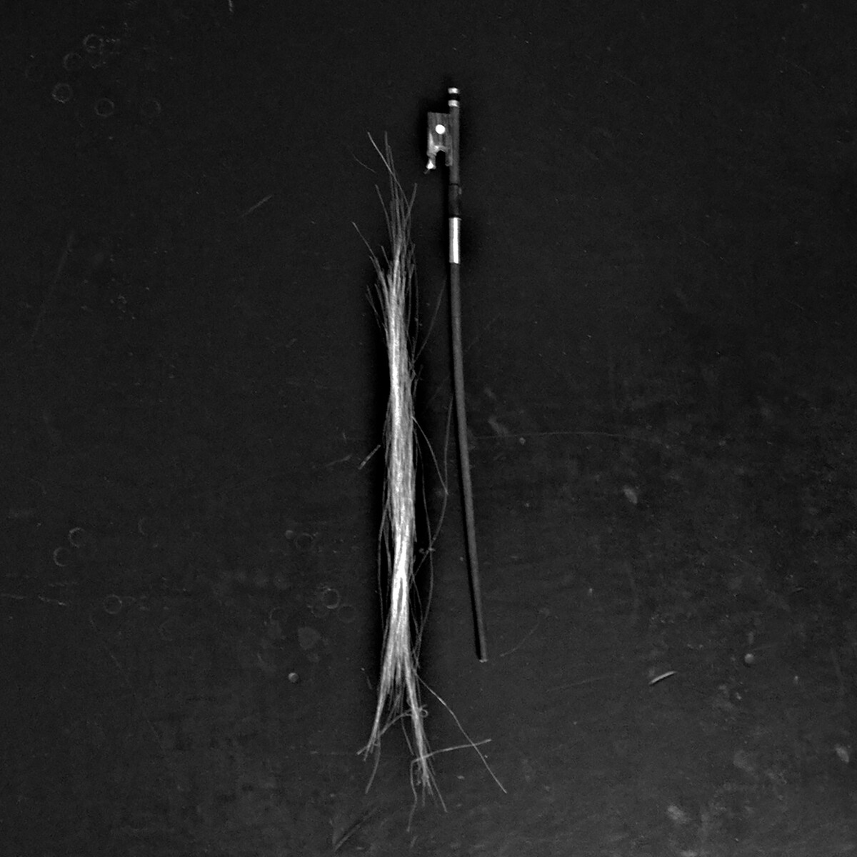 Best Process Music albums of 2025 - Rate Your Music