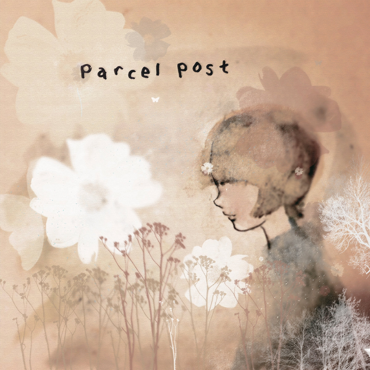 Parcel Post Albums: songs, discography, biography, and listening guide ...