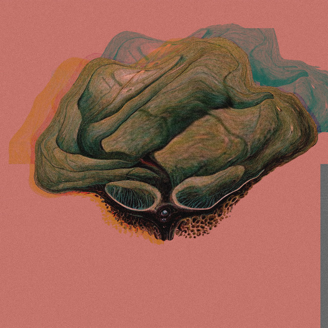 Pressure by Plantoid (Single, Progressive Rock): Reviews, Ratings ...