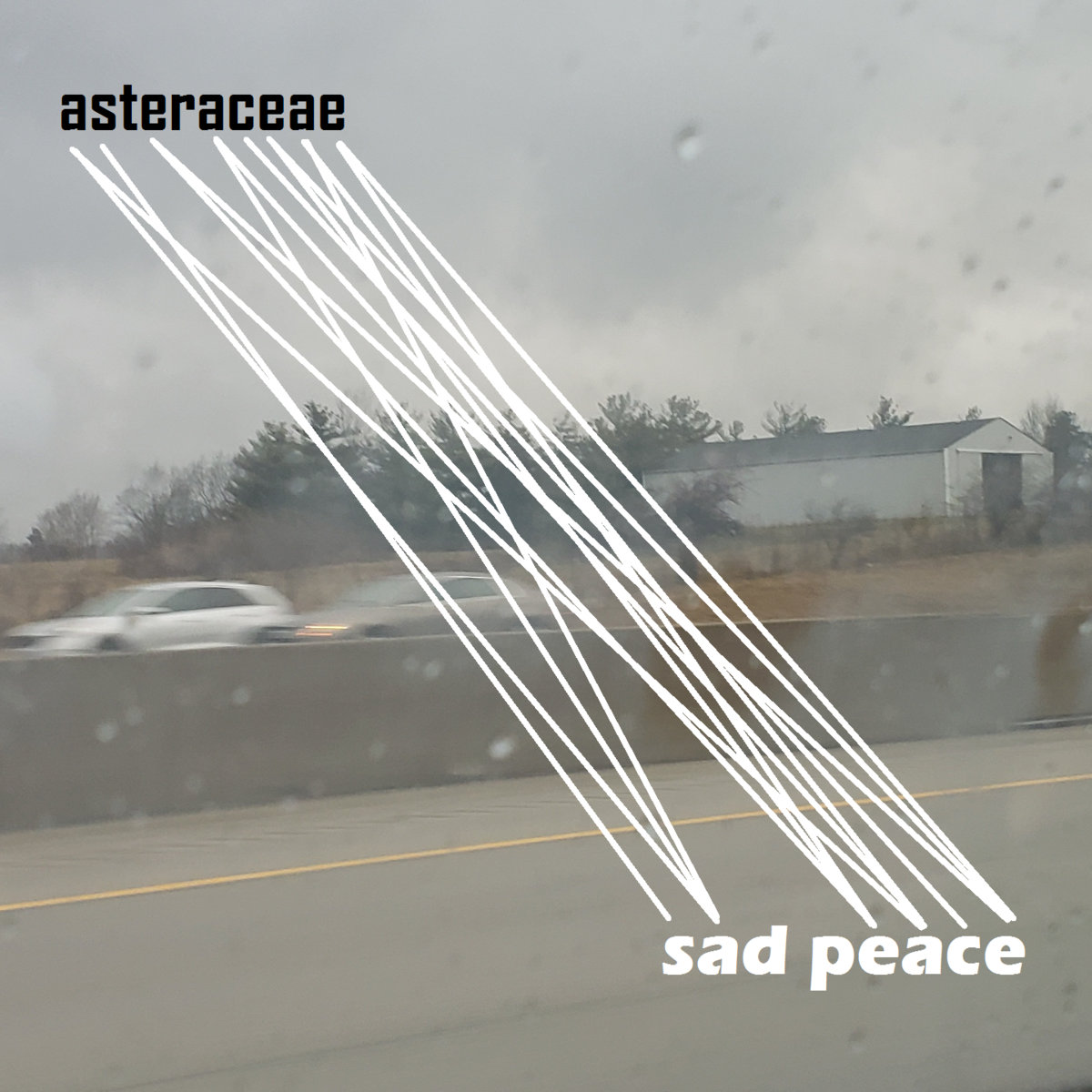 sad peace/spilled water over the bridge by Asteraceae (Album): Reviews ...