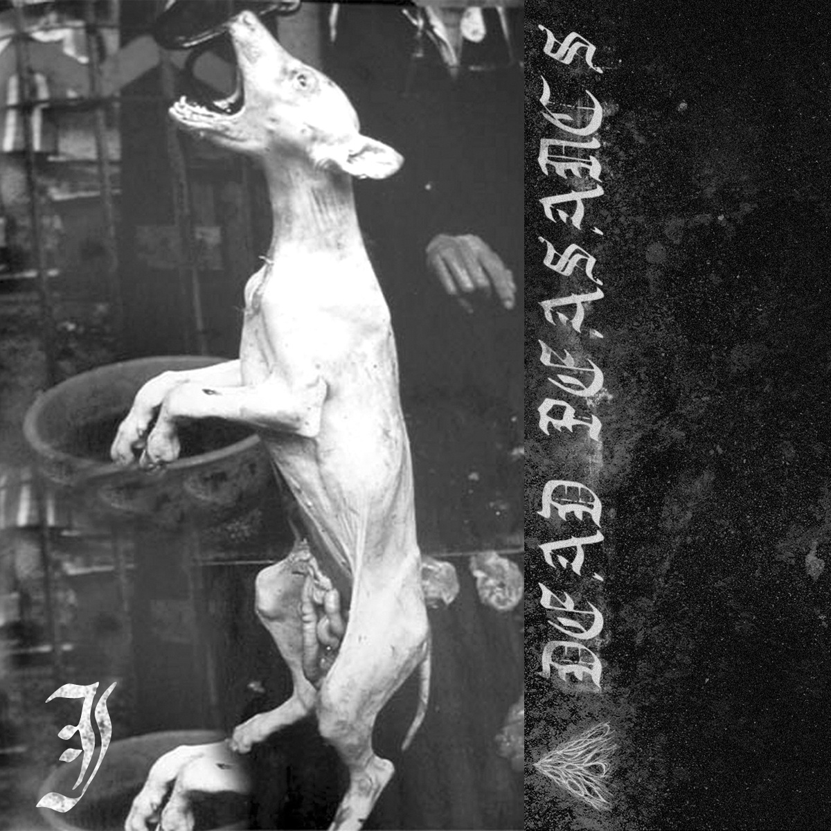 Dead Peasants Albums: songs, discography, biography, and listening ...