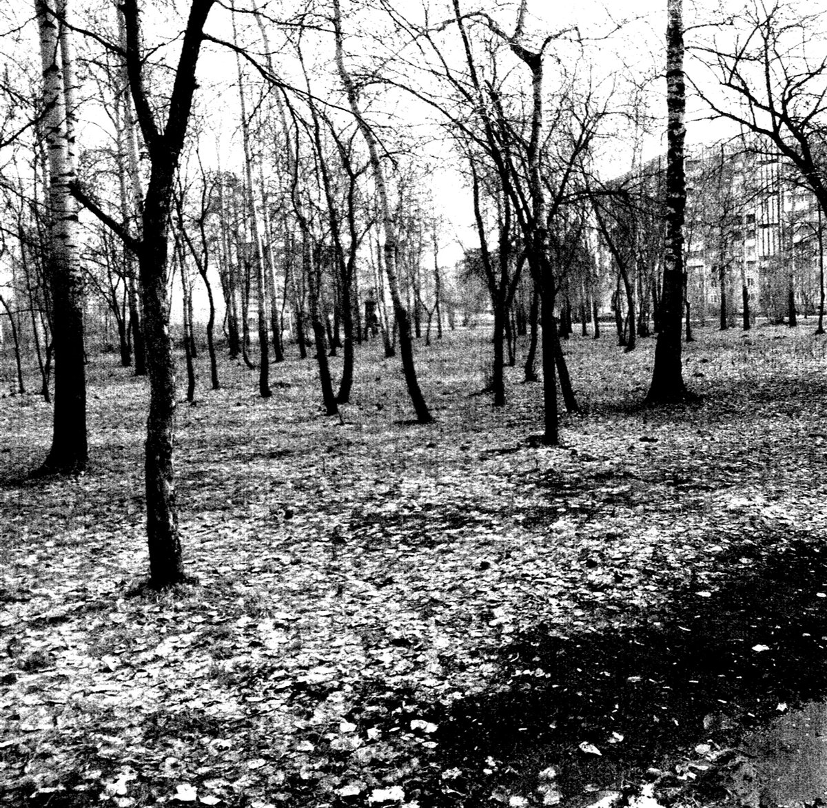 Bleak Forest Park II by Sleep Column (Album, Harsh Noise Wall): Reviews ...