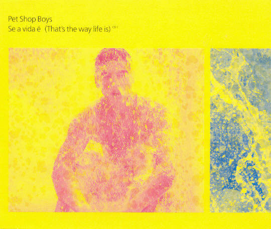 Se a vida é (That's the Way Life Is) by Pet Shop Boys (Single, Dance-Pop): Reviews, Ratings ...