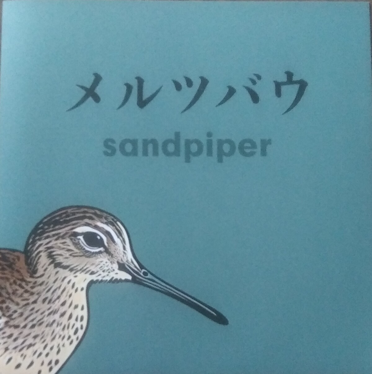 Sandpiper by Merzbow (Single, Harsh Noise): Reviews, Ratings, Credits ...