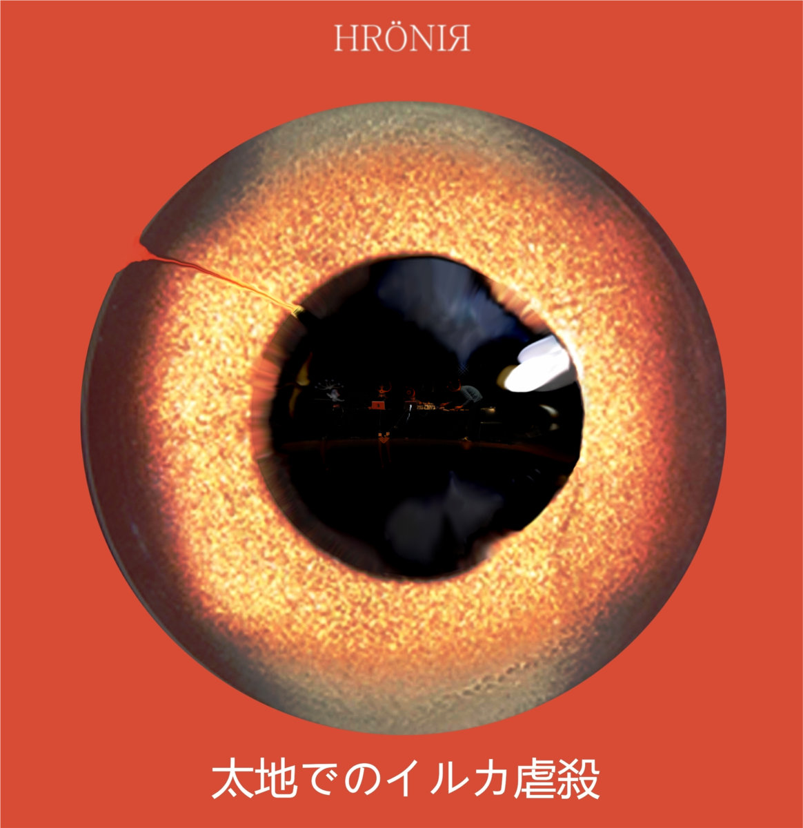 Massacre de Golfinhos em Taiji by Hrönir (Album): Reviews, Ratings ...