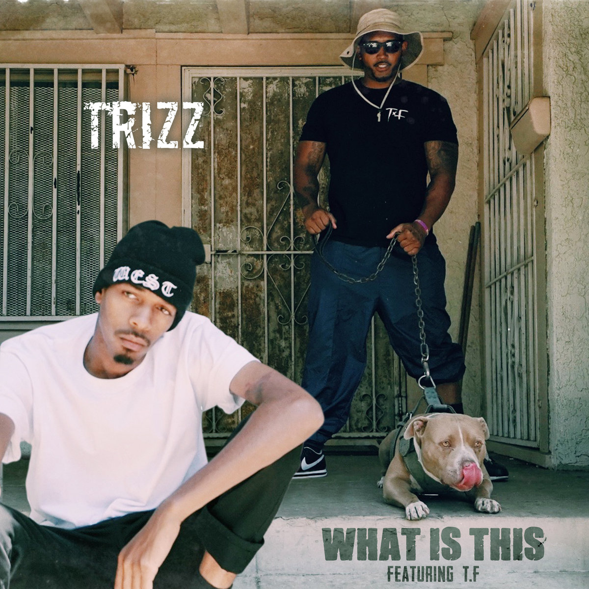 What Is This by Trizz (Single; Below System; n/a): Reviews, Ratings ...
