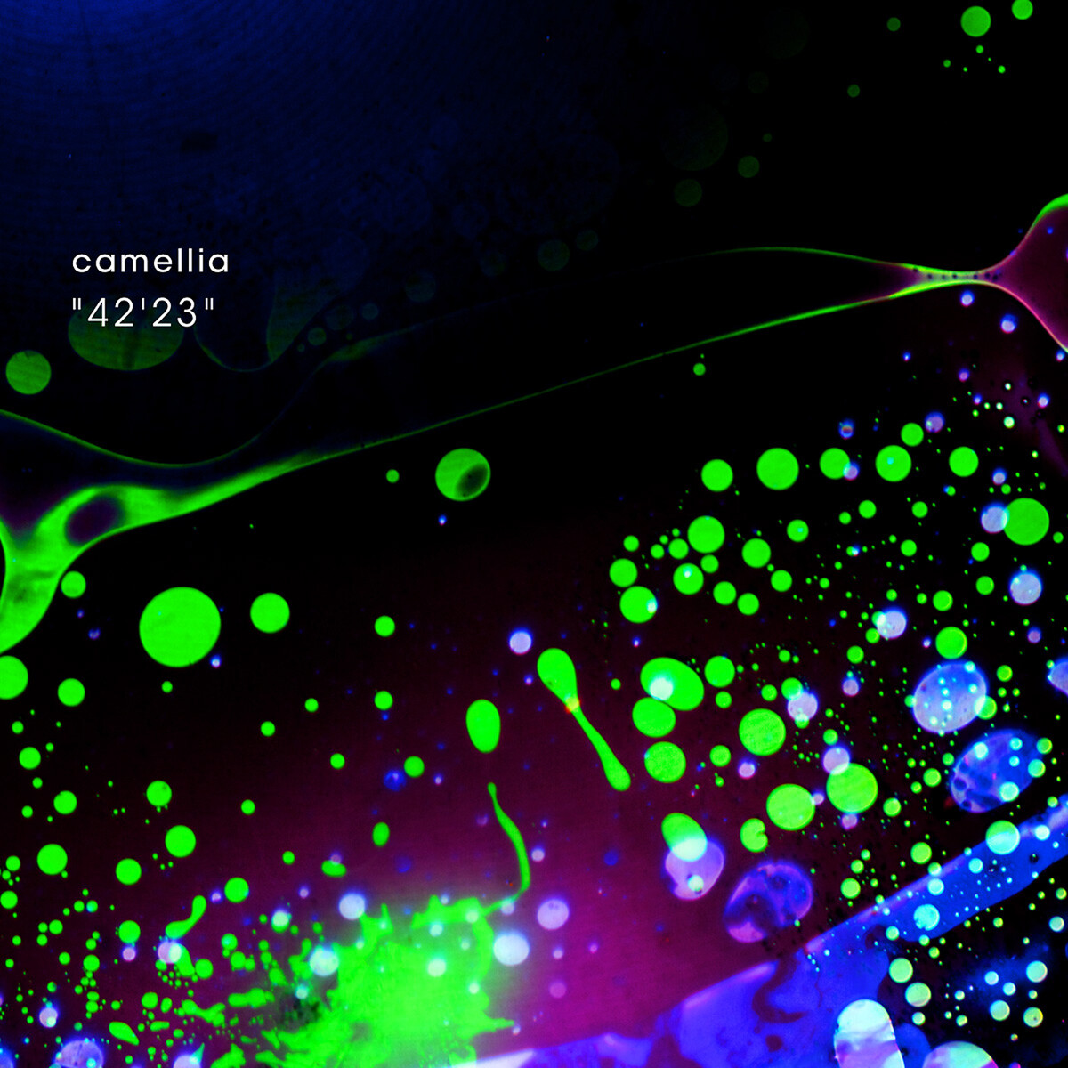 camellia Albums: songs, discography, biography, and listening guide ...