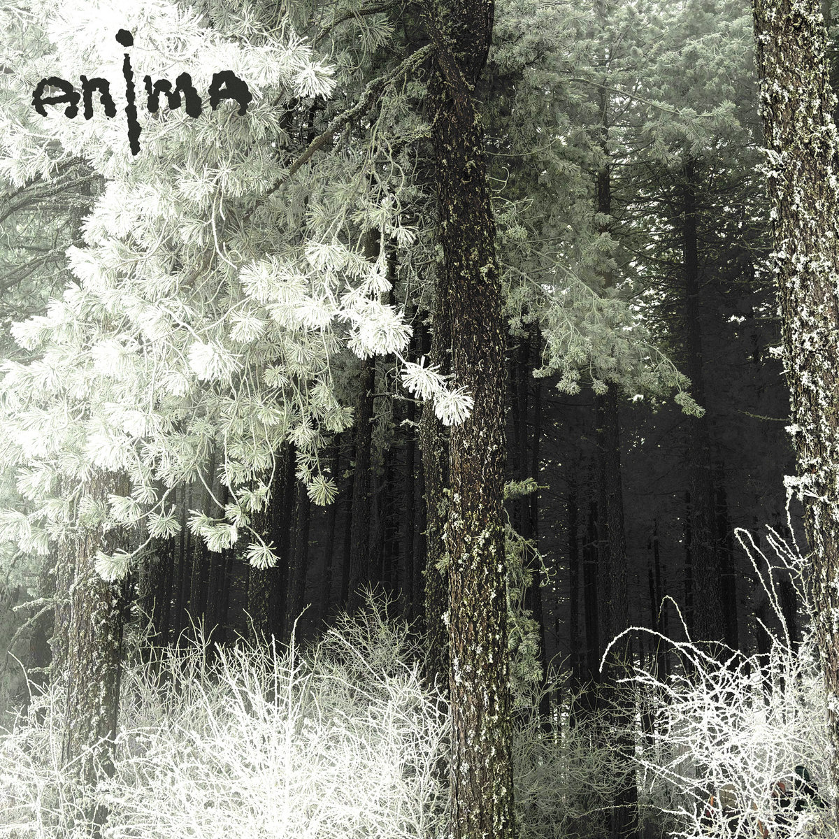 Anima Albums: songs, discography, biography, and listening guide - Rate ...